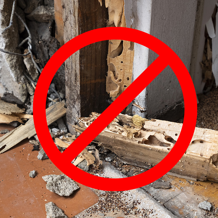 Home - H. T. Treadway, Inc. Pest Control